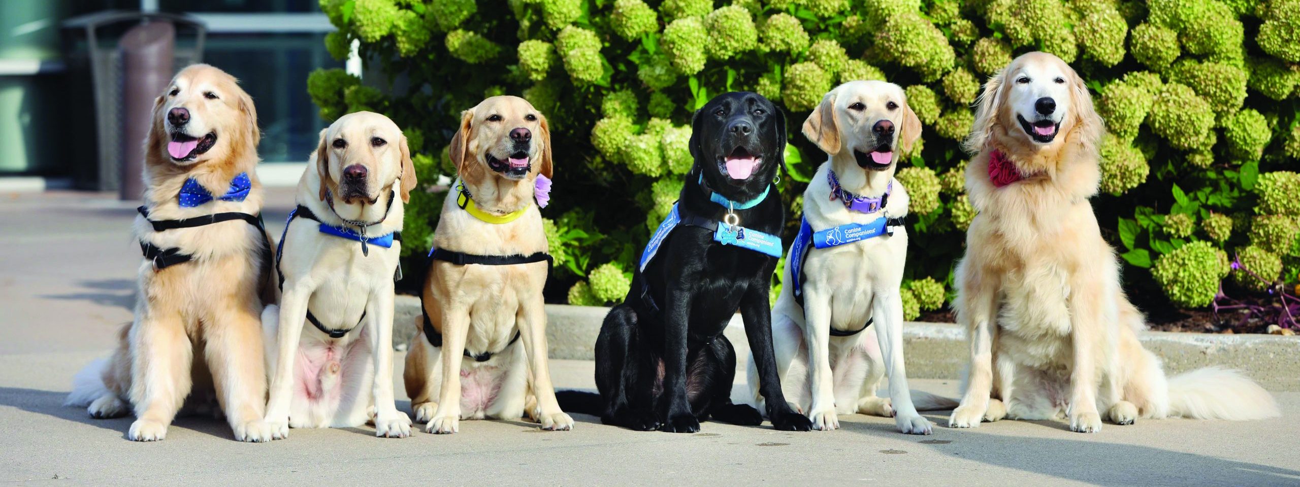 In the News | Newsroom