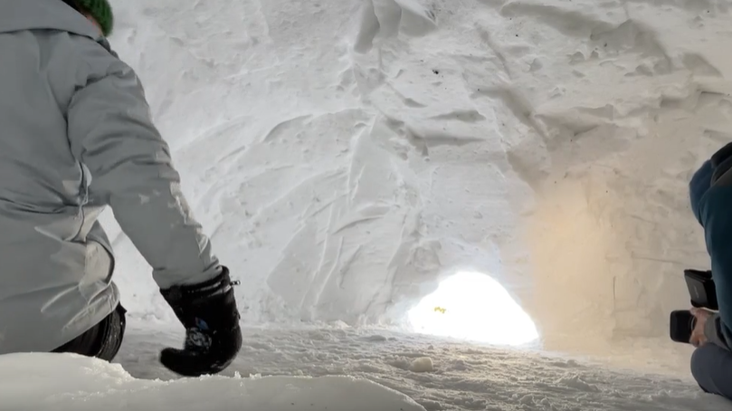 In the News | Newsroom