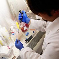 Cancer & Blood Diseases Institute Research