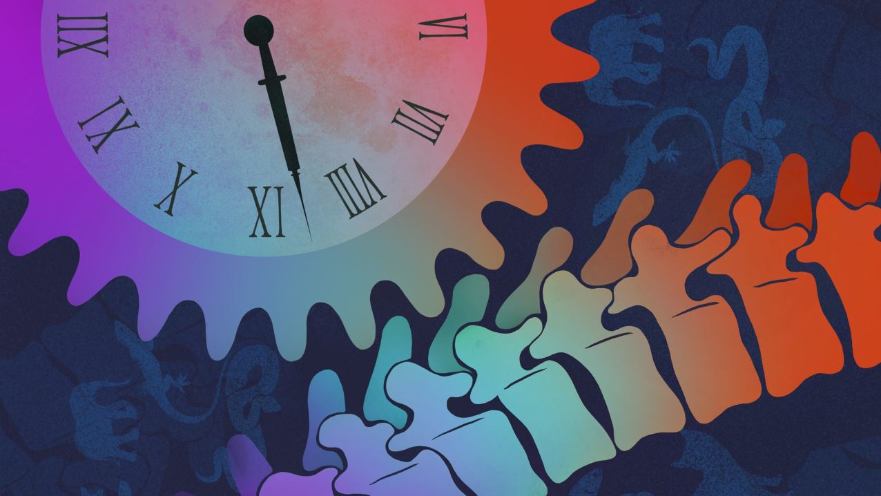 Developmental Biology