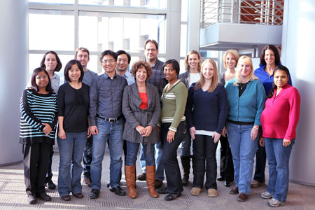 Ratner Lab | Experimental Hematology