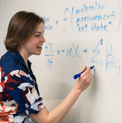 Miraldi Research Lab