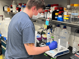 Lab Life | Crone Lab