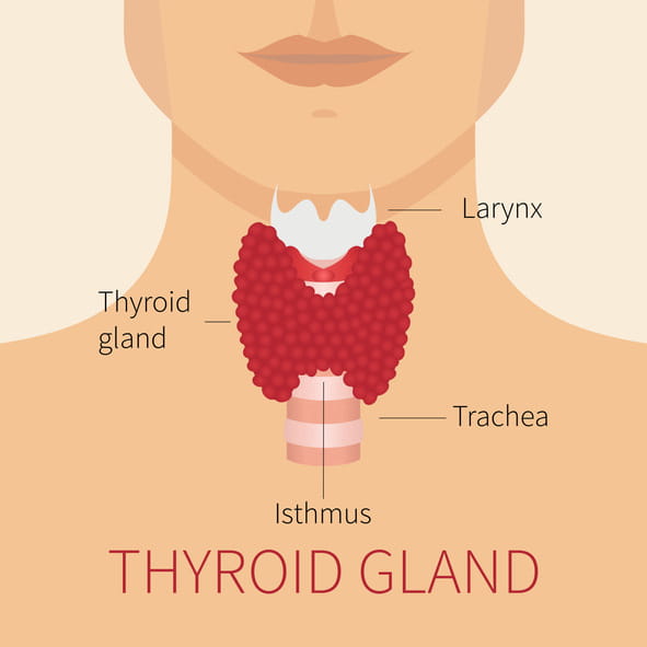 Acquired Hypothyroidism | Cause, Symptoms & Treatment