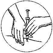 Intramuscular Injection (IM)
