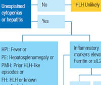 Diagnosing HLH | HLH Center at Cincinnati Children’s