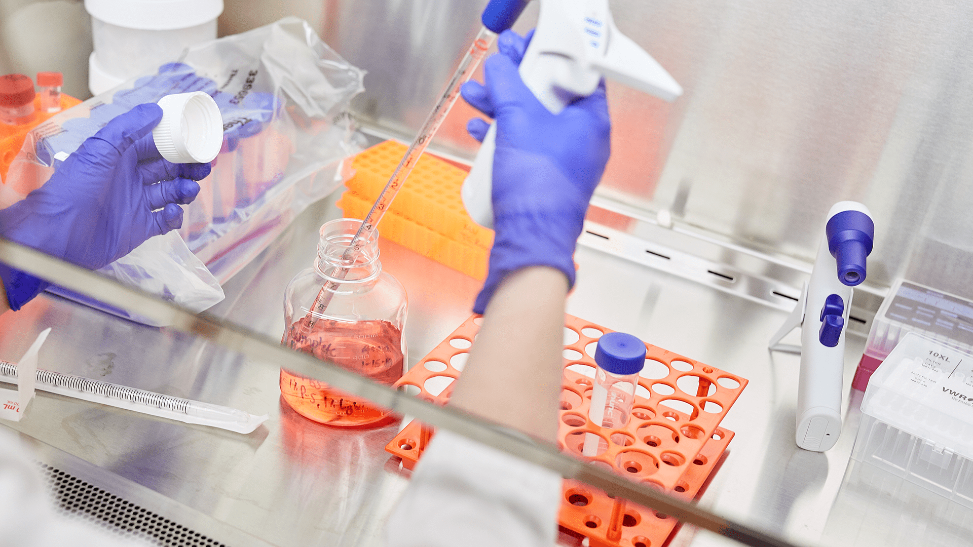 Research | Intestinal Rehabilitation Center