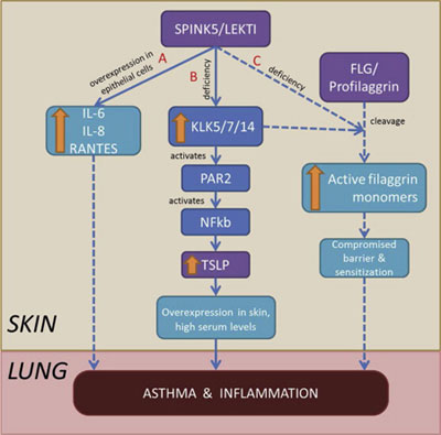 Current Projects | Biagini Lab